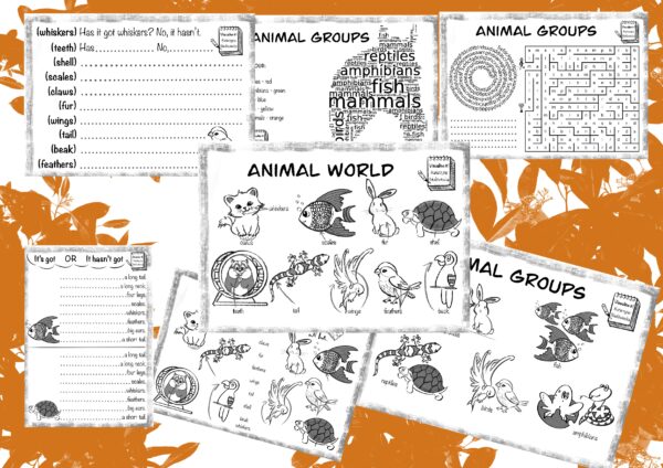 Visualised Elementary Resource Book 3 Unit 2 Animal World – VisualiseIt